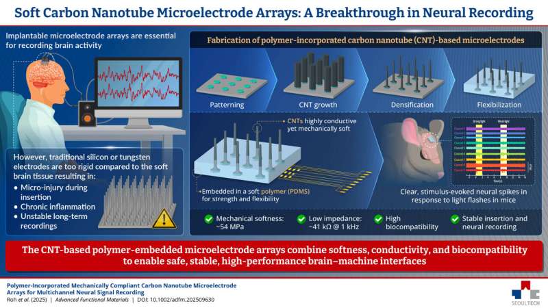 Hybrid nanotube electrodes developed for safer brain-machine interfaces ...