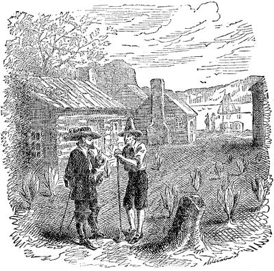 ‘Bleeding noses, blood vomiting, mass paralysis’: Did US deploy ‘sonic ...